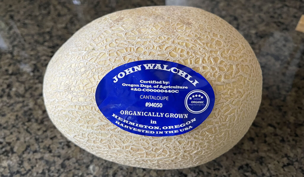 Sicilian Melon Pudding - Tim & Victor's Totally Joyous Recipes